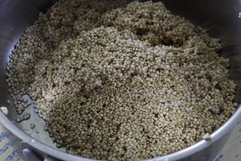 How To Make Soaked Quinoa - therosemarywreath