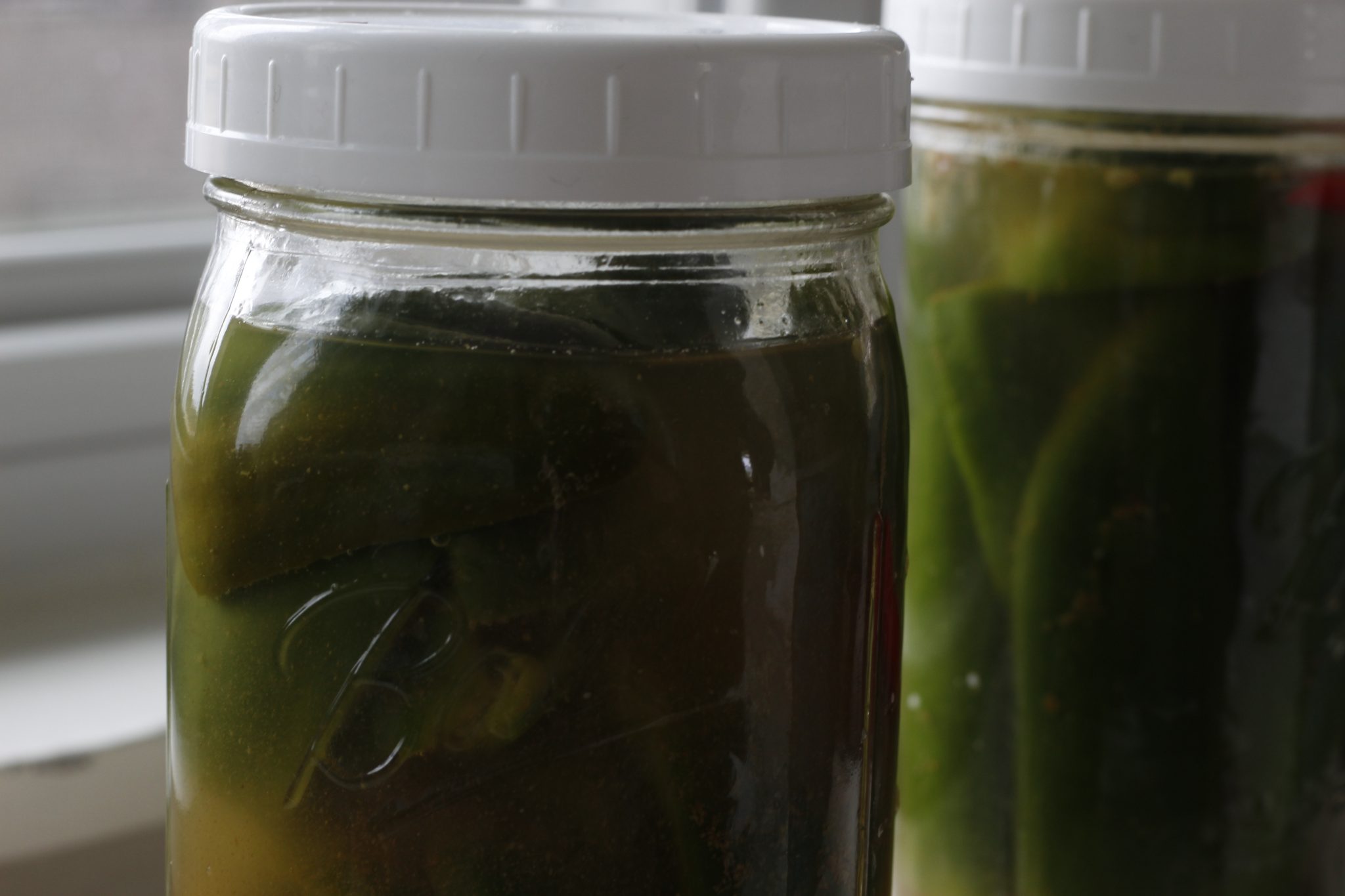 Lacto-Fermented Peppers That Are Savory And Simple To Make ...