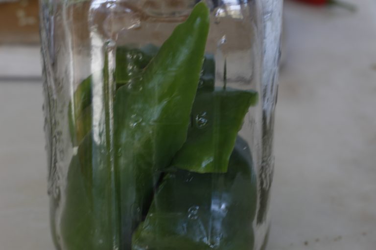 Lacto-Fermented Peppers That Are Savory And Simple To Make ...