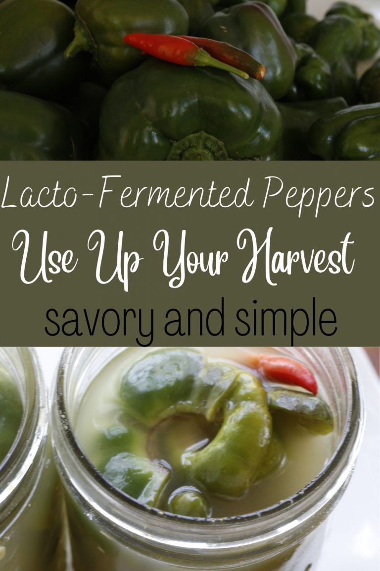 Lacto-Fermented Peppers That Are Savory And Simple To Make ...